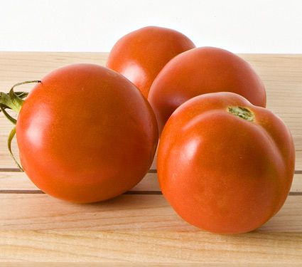 Determinate Tomatoes | White Flower Farm